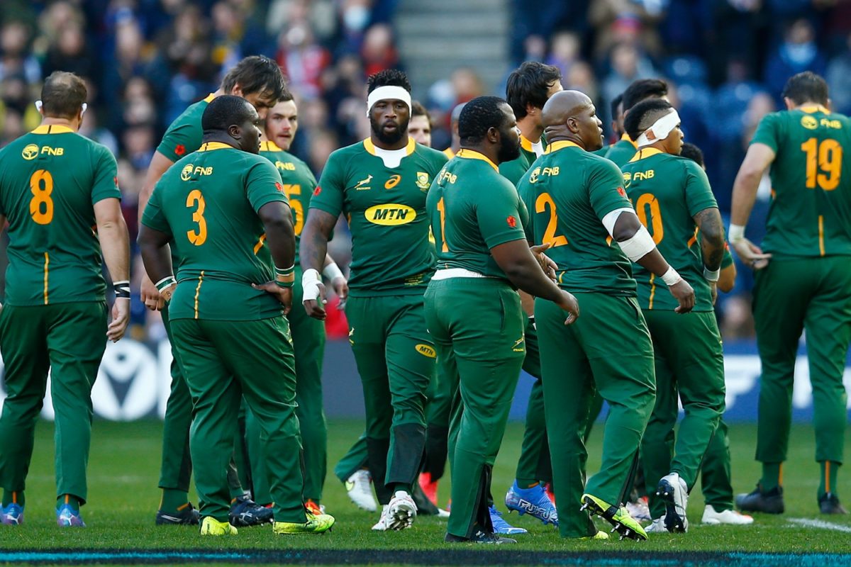 Bok squad start their build-up for Wales series with preparation camp ...