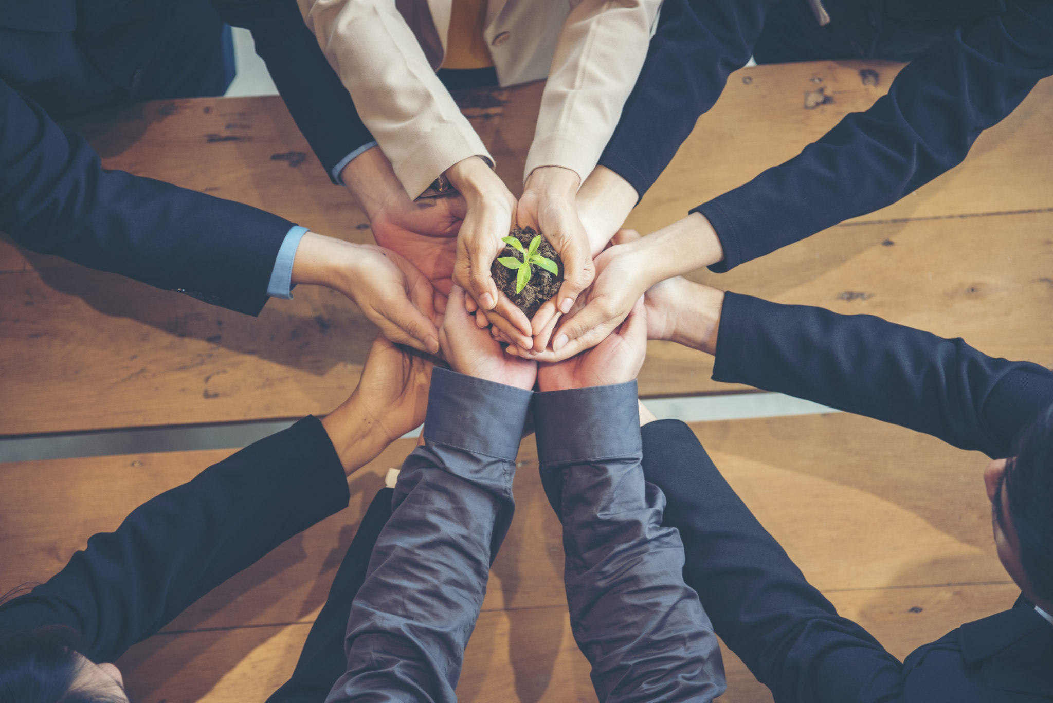 SA companies spent less on corporate social investment in 2021 - study