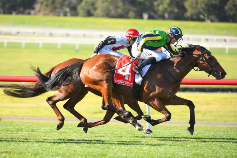 New racing boss outlines 4Racing’s vision | The Citizen