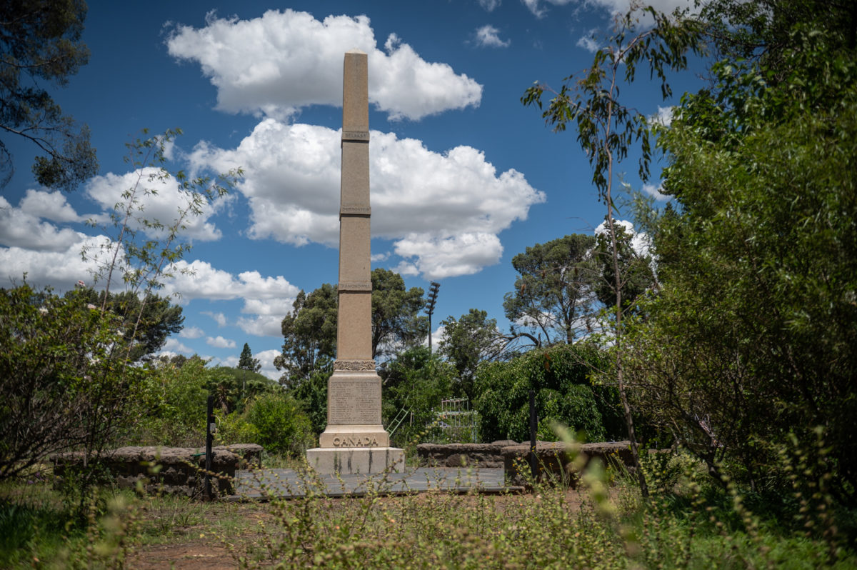 Bloemfontein Zoo animals - some thriving, some dead, some mysteriously ...