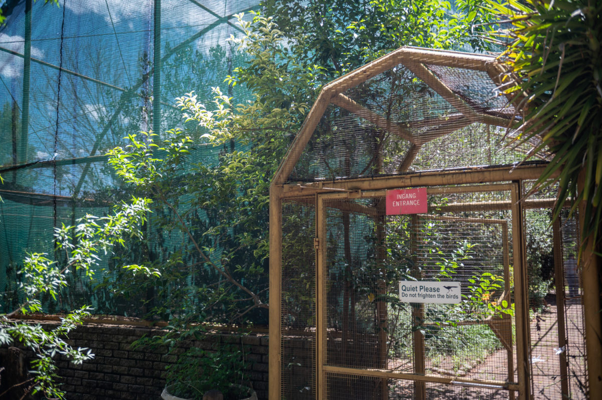 Bloemfontein Zoo animals - some thriving, some dead, some mysteriously ...