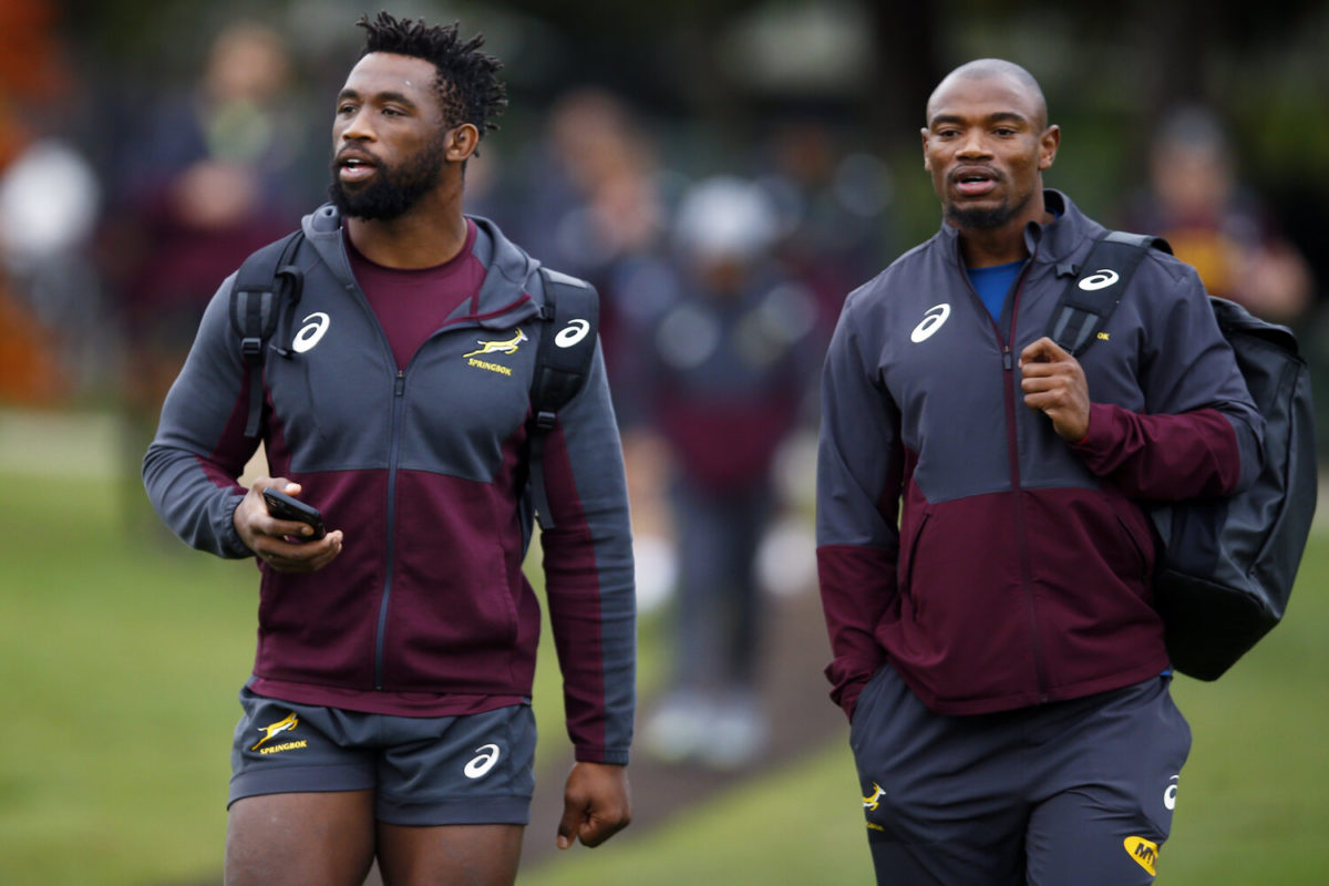 Five Bok stars named in World Rugby's 2021 Dream Team | The Citizen