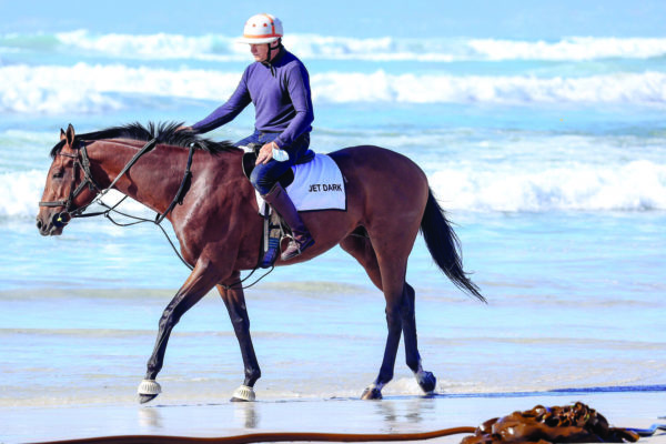 Trainer Justin Snaith holds the trump cards in big Met race | The Citizen