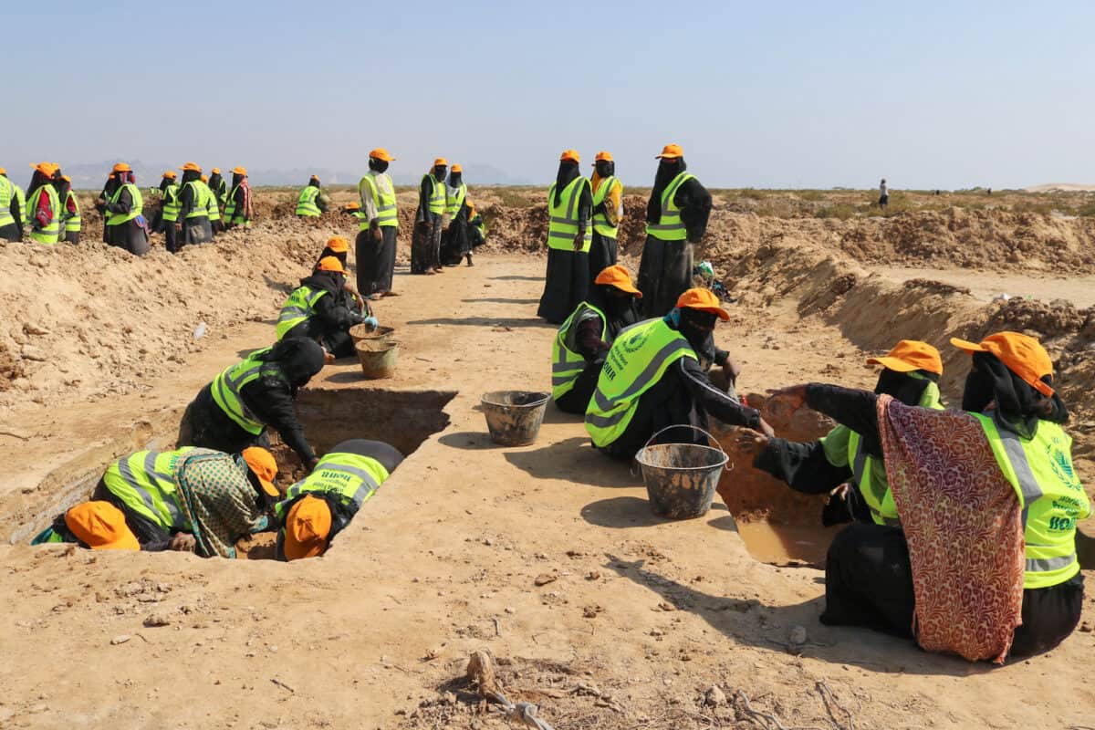 Scraping a living: salt offers women lifeline in Yemen | The Citizen