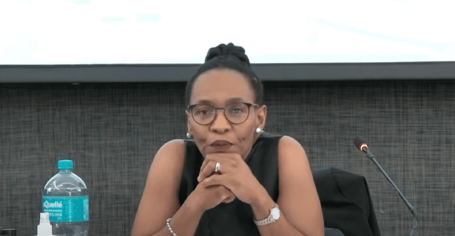 JSC interviews: Judge Mandisa Maya says the judiciary is not in crisis