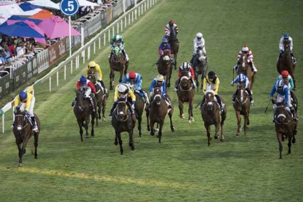De Kock and Fourie carry momentum into Turffontein races | The Citizen
