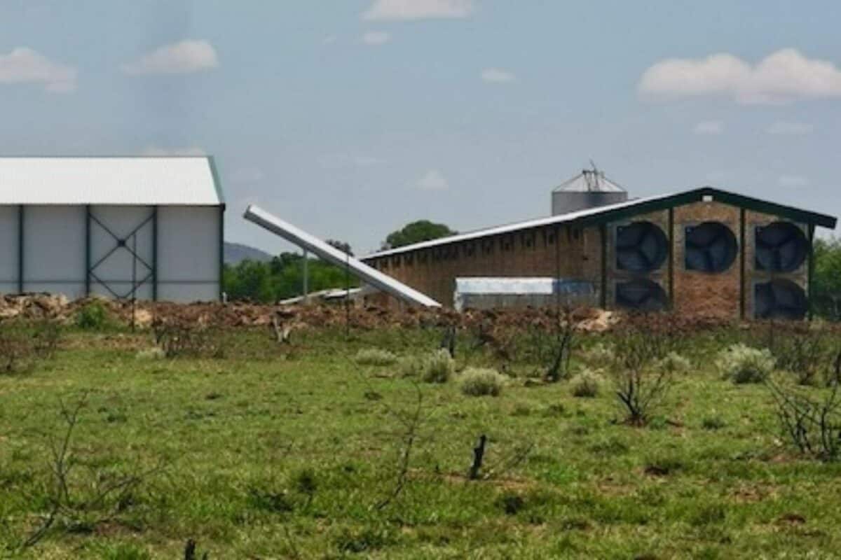 Former Lottery Commission board member's millions linked to grants