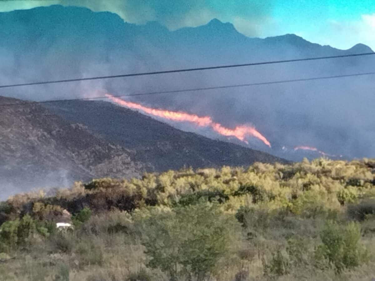 Western Cape fire: Blaze at farm near McGregor contained | The Citizen