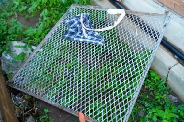 IN PICTURES: How Rooigrond Prison inmates used bed linen to escape