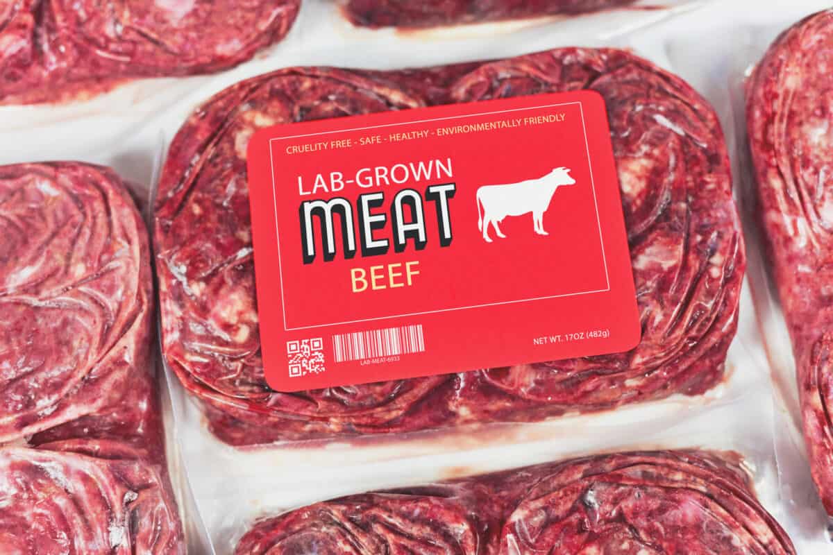 SA company to launch first 'cruelty free' lab beef burger | The Citizen