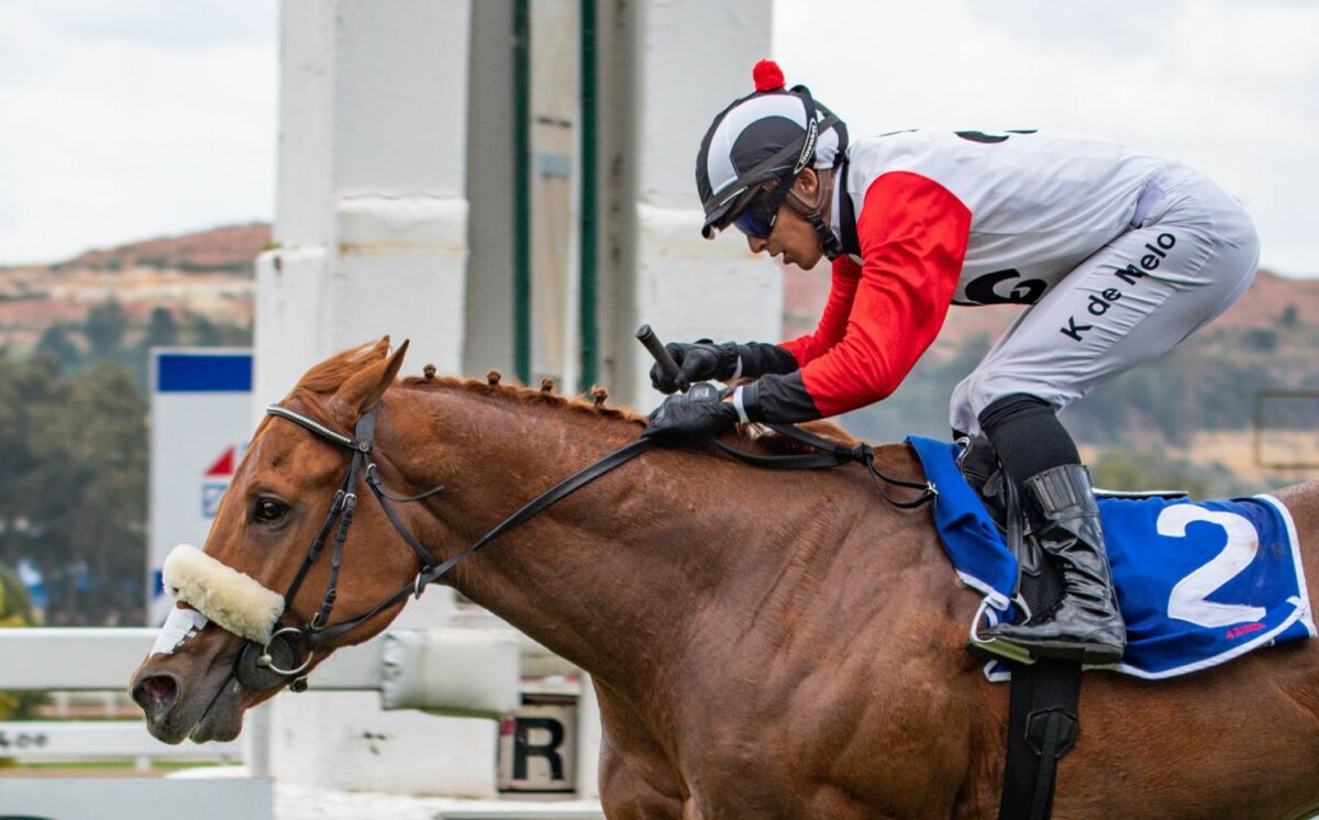 TAB Champions’ Day at Turffontein Racecourse set to entertain