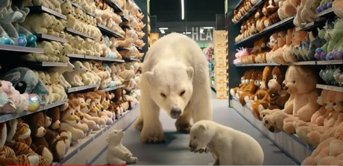 Orchids and Onions: Kudos to Checkers' recycling and reduction of ...