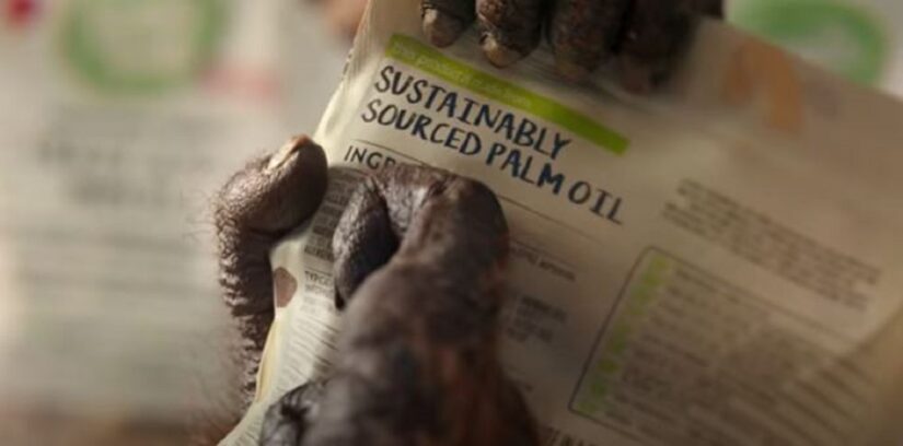 Orchids and Onions: Kudos to Checkers' recycling and reduction of ...