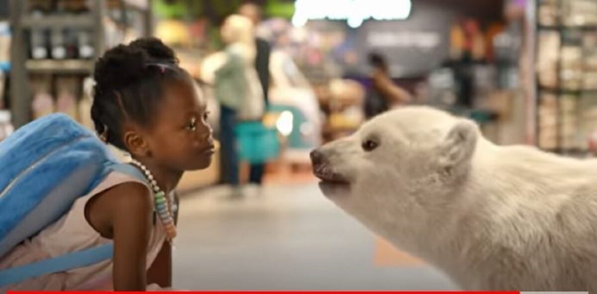 Orchids and Onions: Kudos to Checkers' recycling and reduction of ...