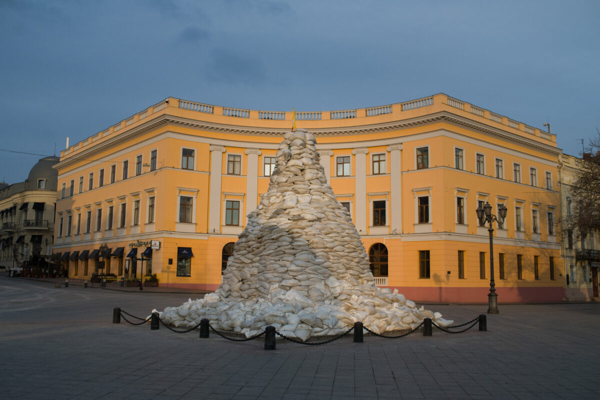SA animal group, British army save nine lions from Ukraine zoo