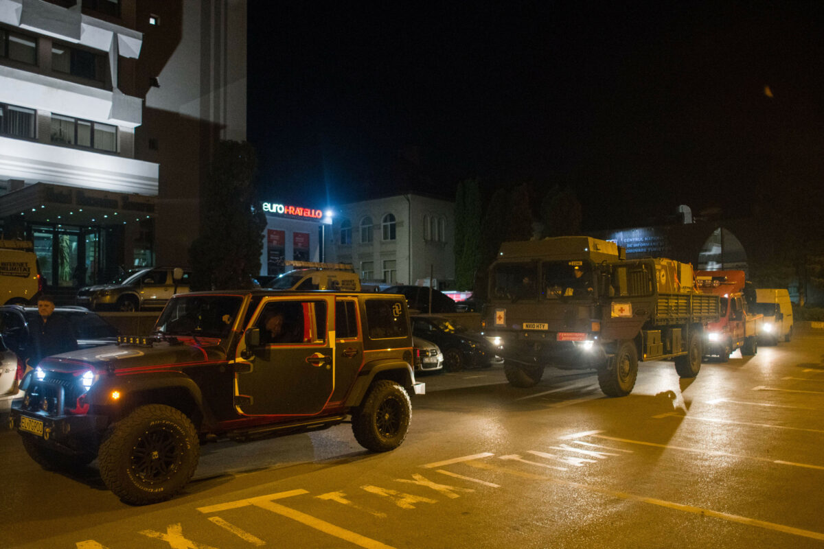 SA animal group, British army save nine lions from Ukraine zoo