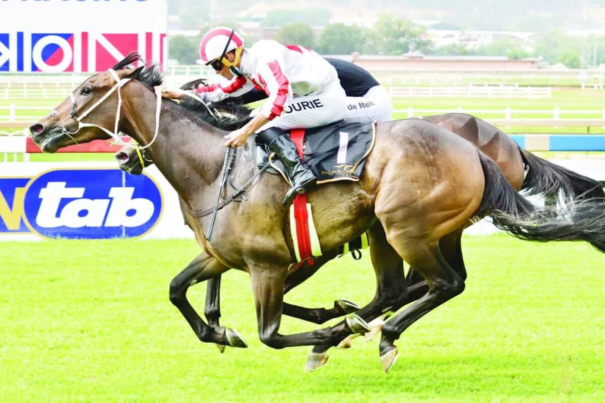Favourites draw well for the Durban July