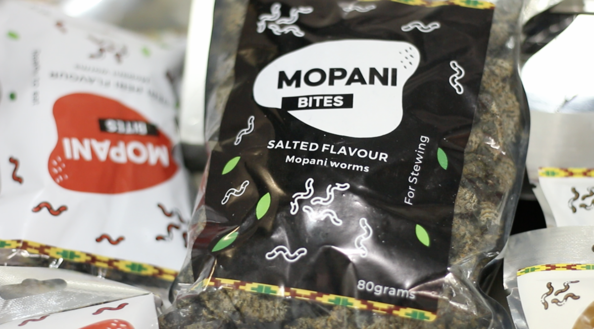 WATCH: 'Just try it' - mopani worms a cheap and healthy form of protein