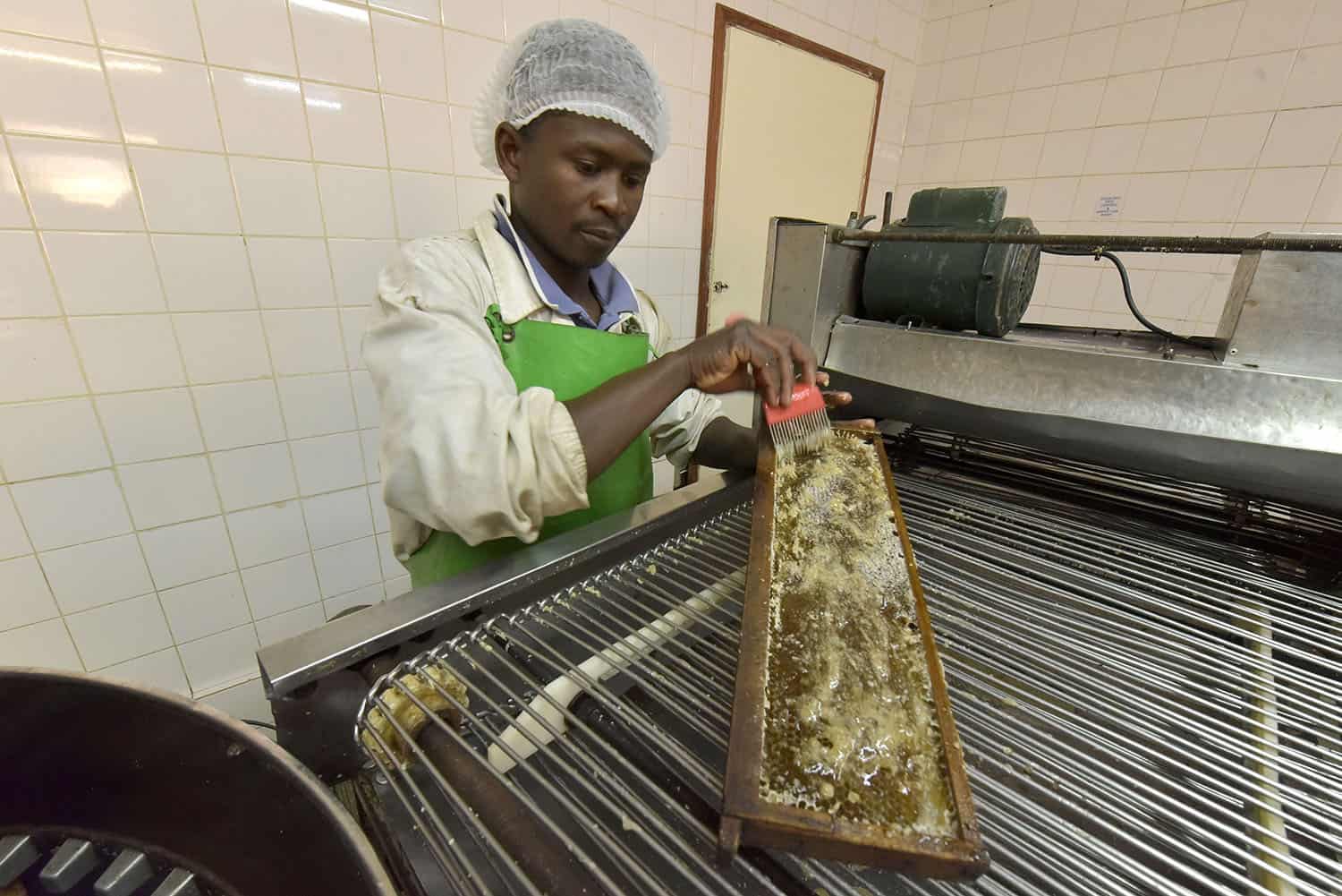 In pictures: From bee to honey - the honey making process.