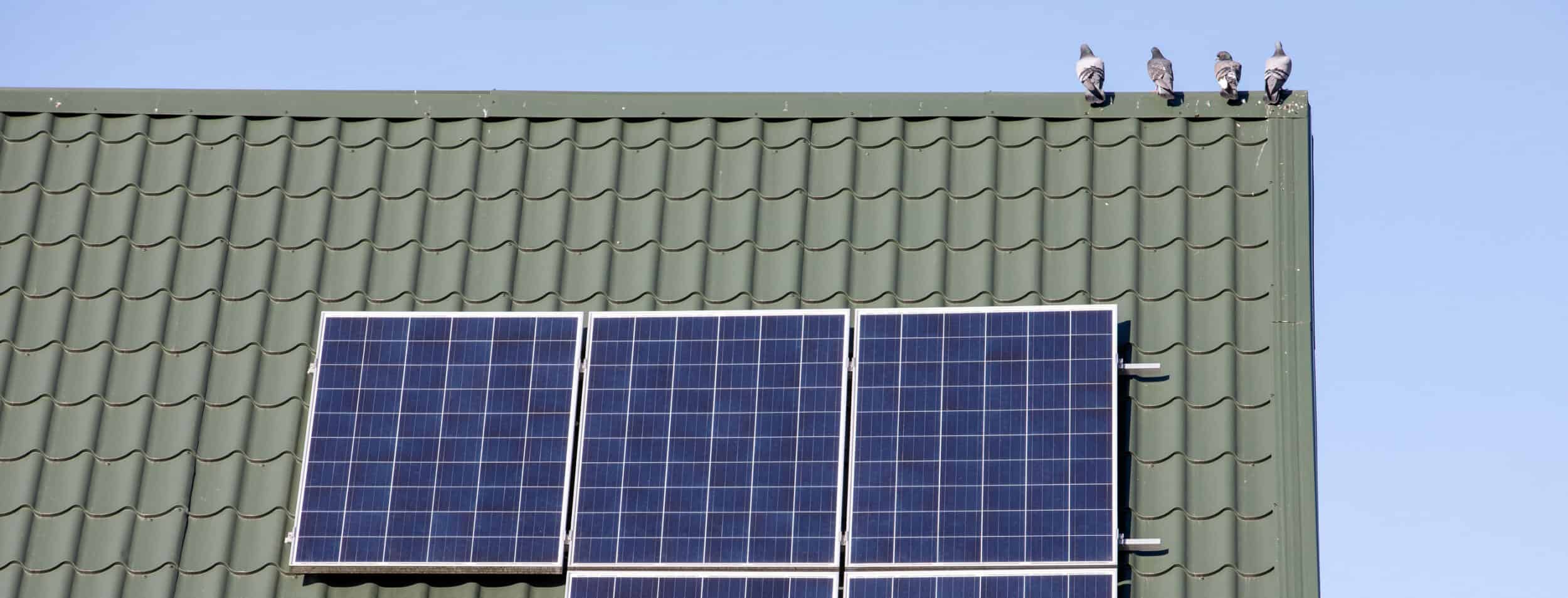 How to choose and insure the right electricity backup system | Economy24