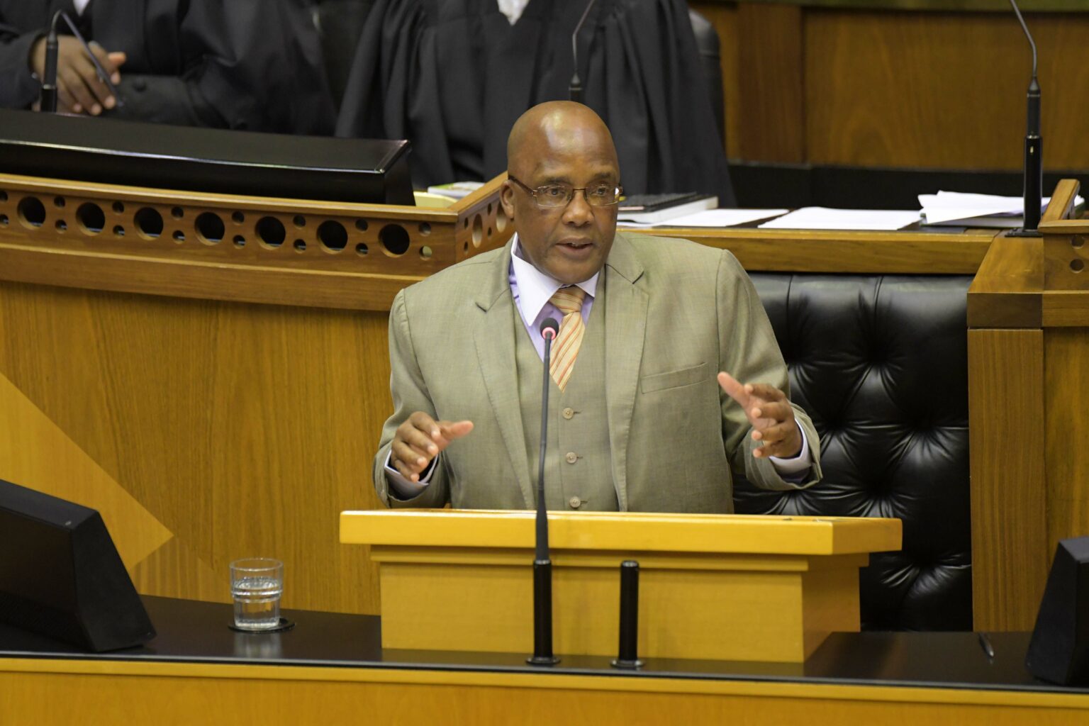 Motsoaledi says SA passport has become 'a laughing stock'