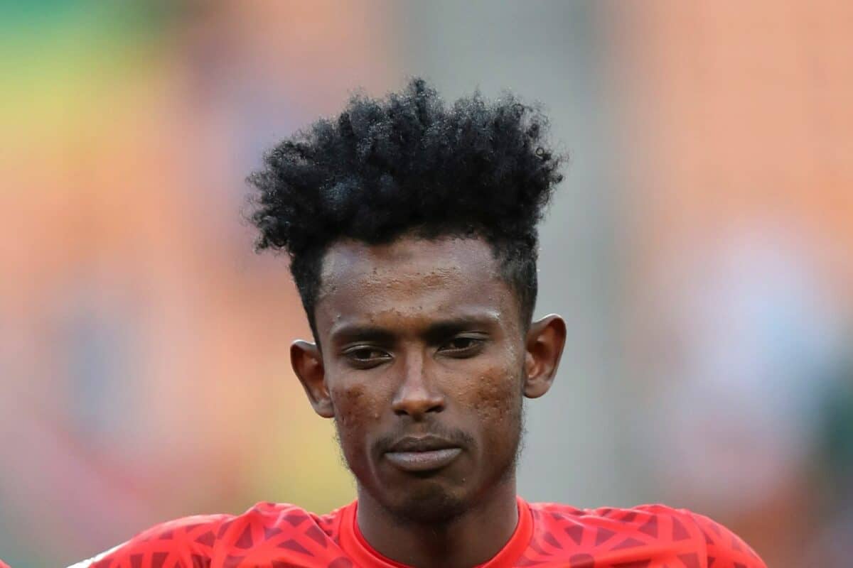 Sundowns finally unveil Nasir