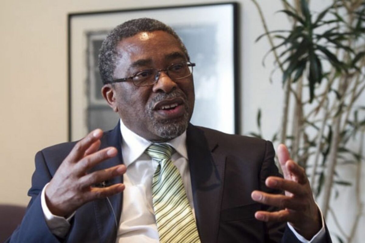 'Black middle class want to be like whites' - Moeletsi Mbeki