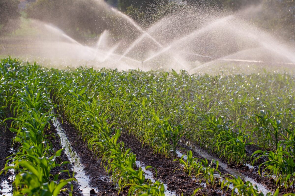 New water tariffs hike on the cards for farmers?