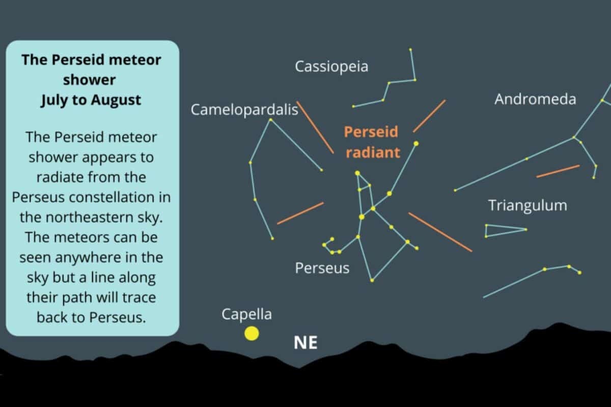 Perseid meteor shower: When it peaks and how to watch from SA