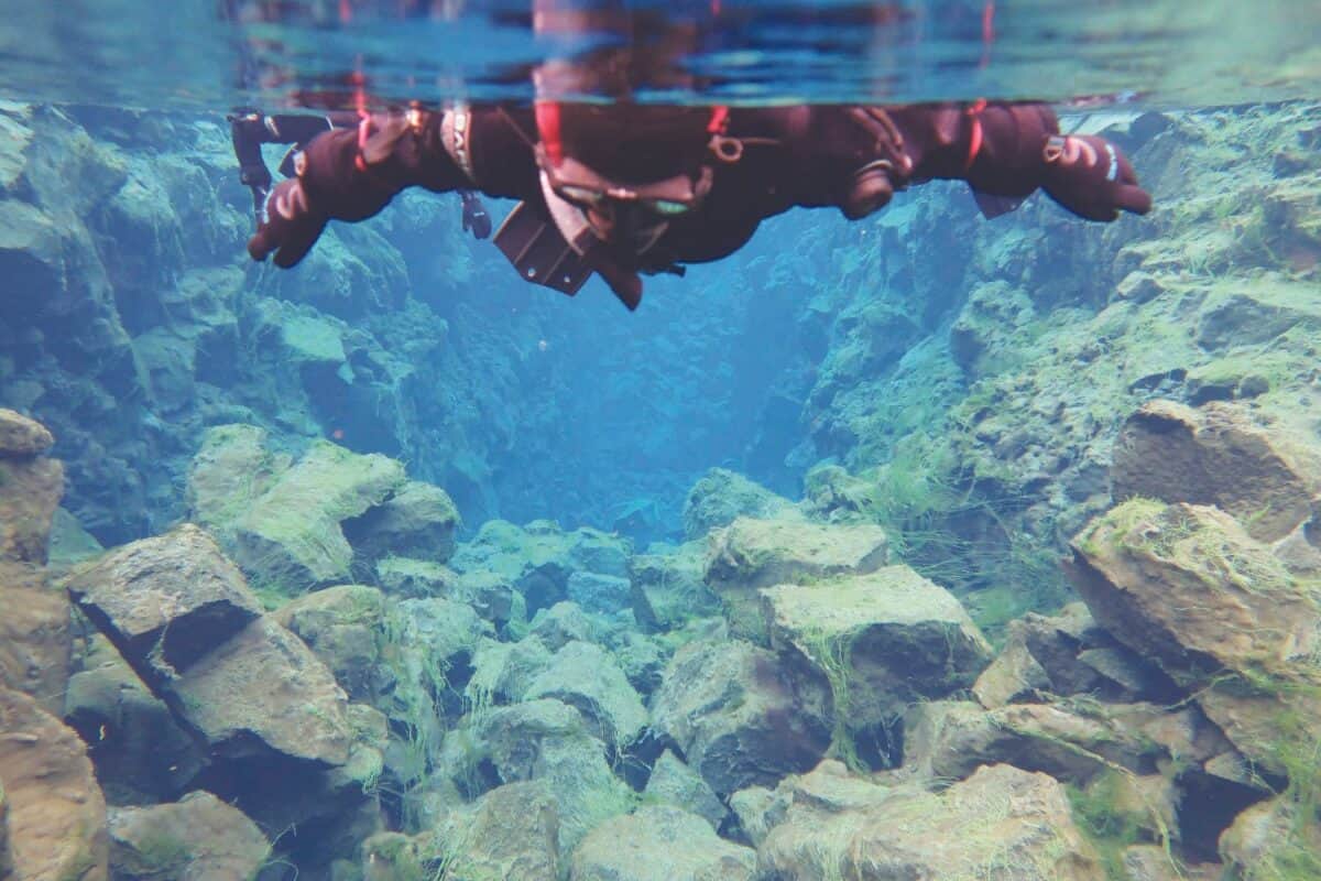 Incredible icy snorkeling dip in Iceland | The Citizen