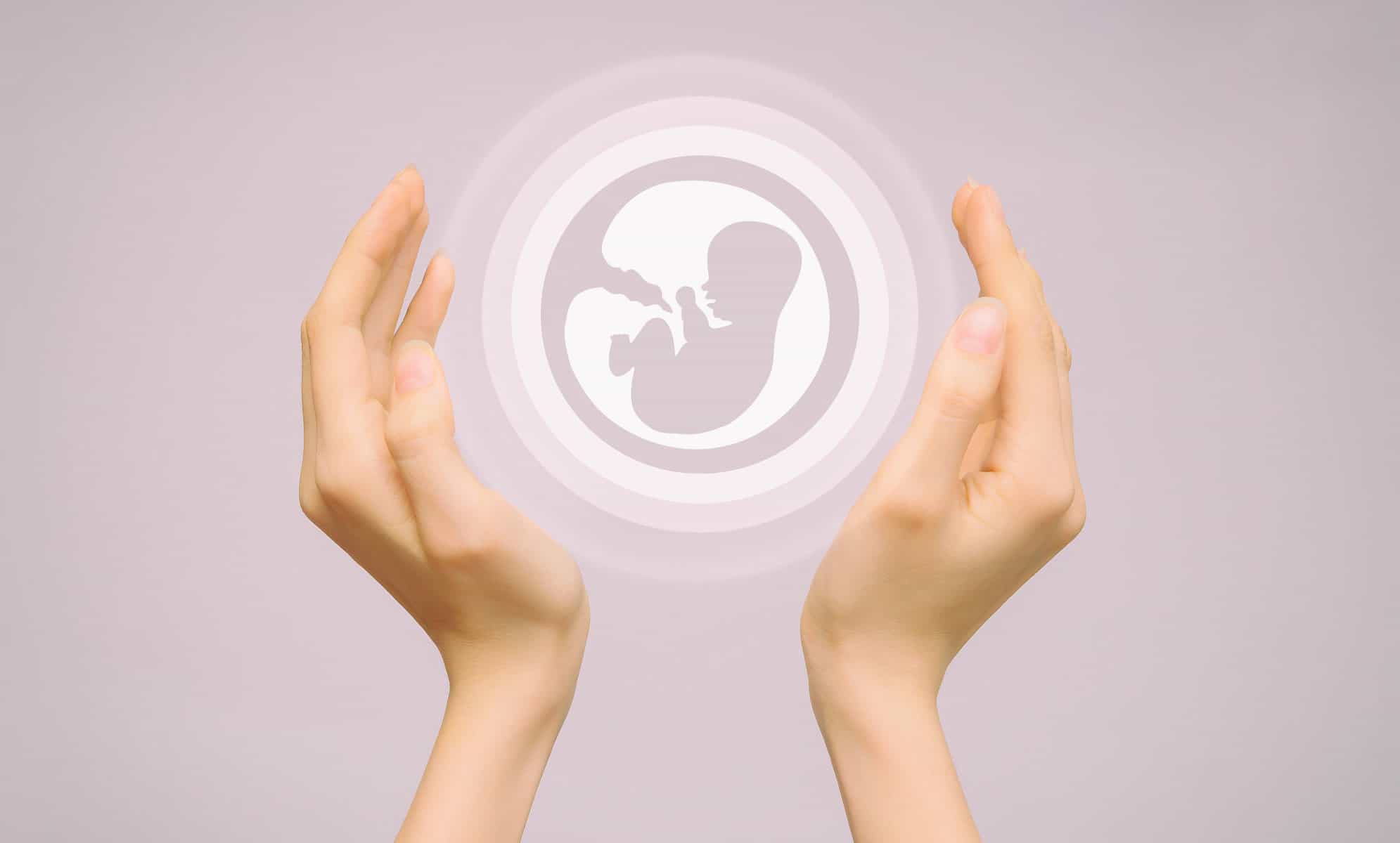 Synthetic Embryos Scientists Make Breakthrough But Growing Human