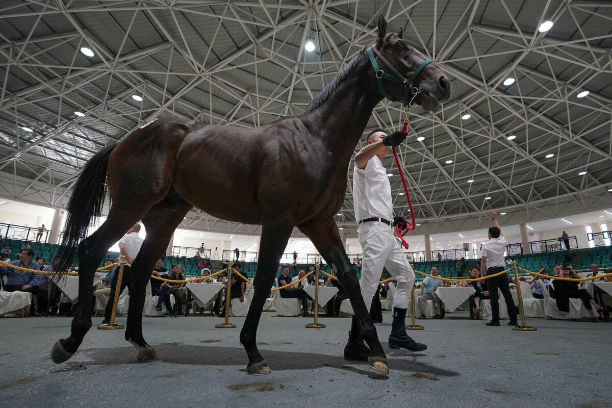 Another bold move from Cape Racing