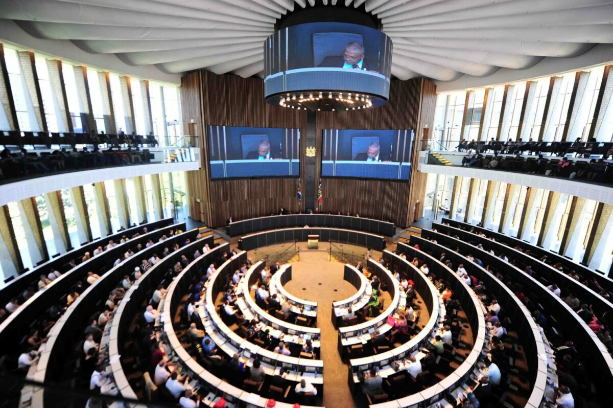 Success of ANC-EFF coalition depends on balance of forces