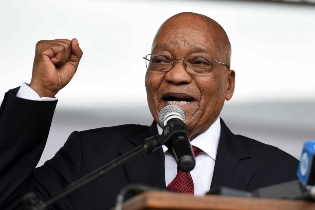 'Lion of Nkandla' becomes more muted as time passes | The Citizen