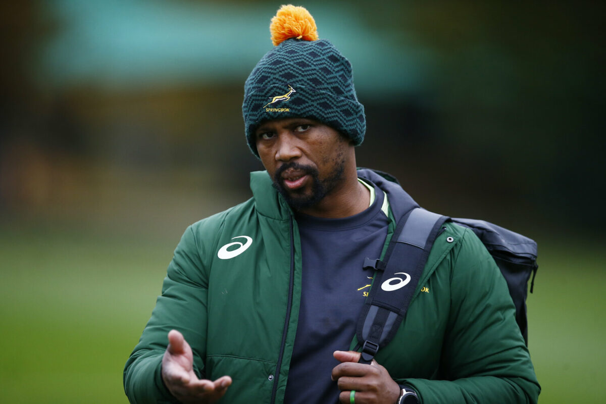 Springboks want to taste success in front of home fans — Stick