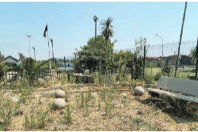 Heritage lost: Tambo project is in shambles | The Citizen