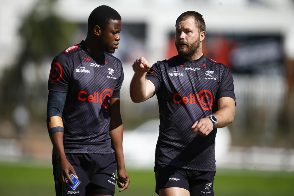 Watch: Sharks unveil new playing jersey for 2022/23 URC season