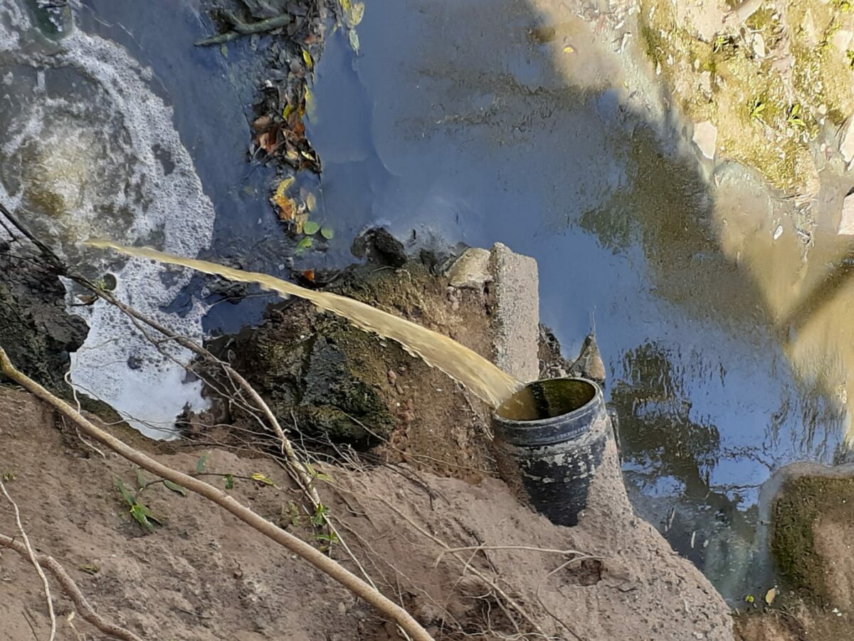 DA calls for arrests over untreated Umbilo River sewage spillage