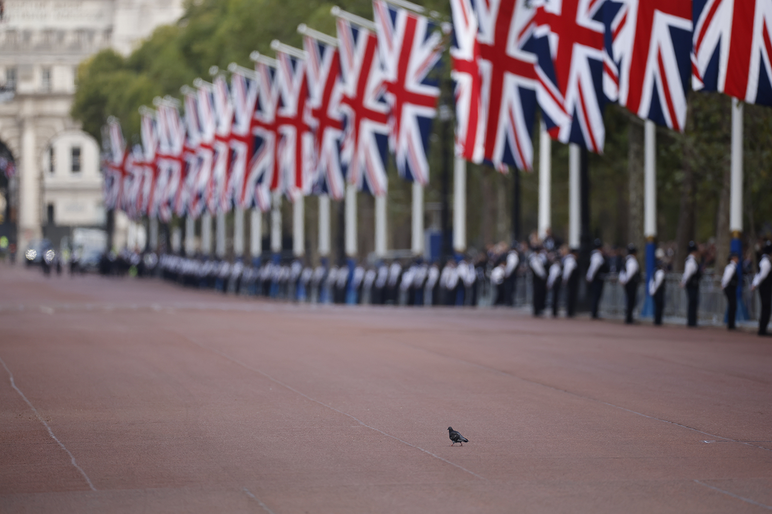 IN PICS: The Queen's procession - 14 September 2022 | The Citizen