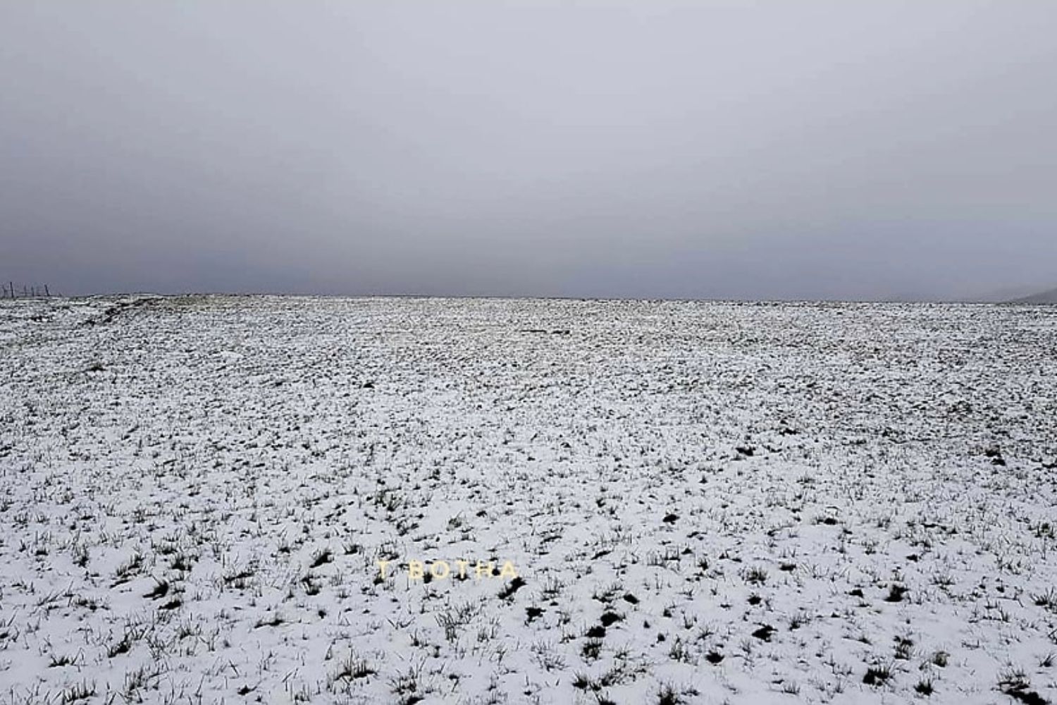 IN PICS: Snow turns KZN, Eastern Cape into spring wonderlands