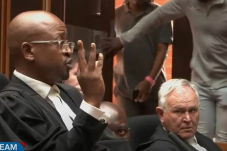 What if I put it to you that Advocate Barry Roux is defending Jacob Zuma?