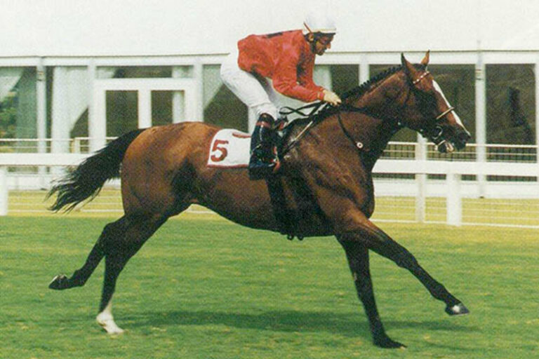 How Henry Devine was badgered into buying Jet Master