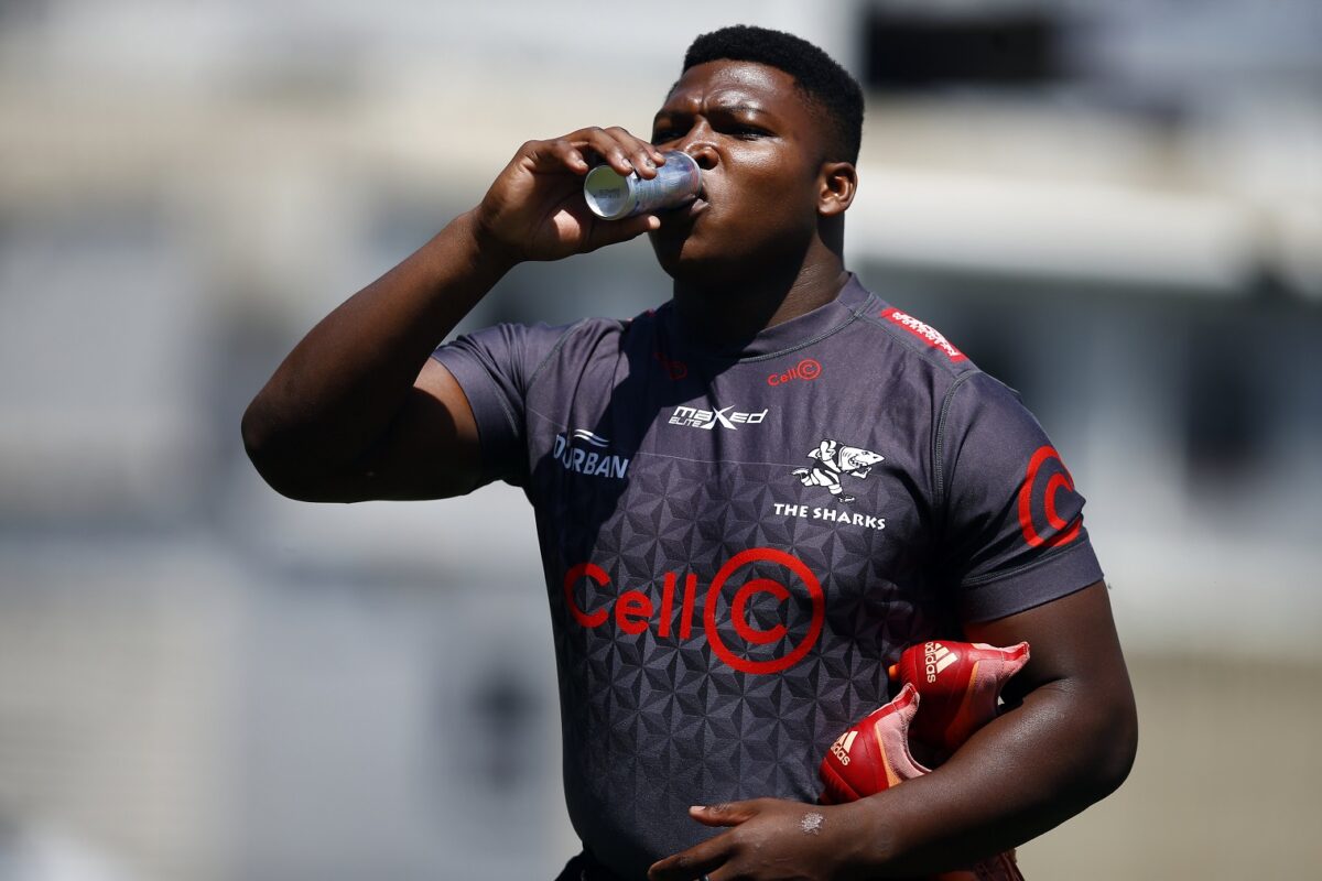 Sharks re-energised in home port, head to Loftus refreshed