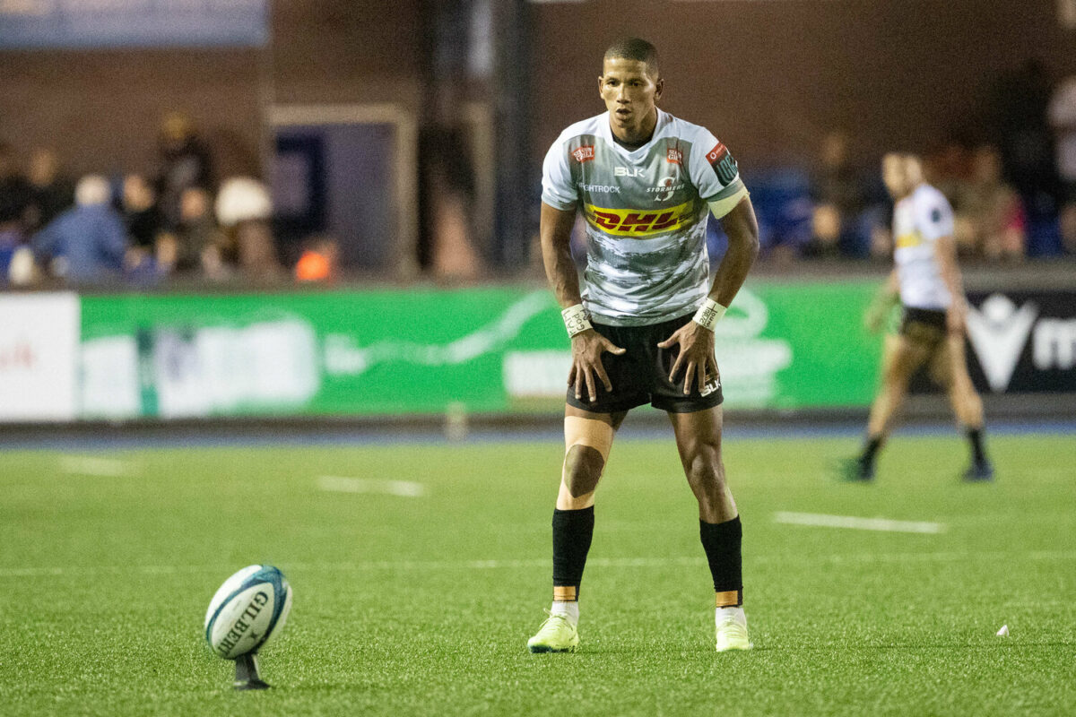 Libbok, Roos the big winners at WP, Stormers awards evening