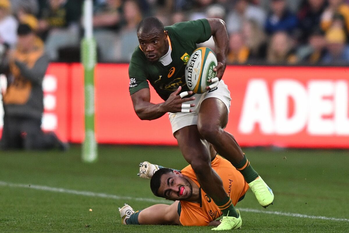 Mapimpi's back, but battle for Bok wing positions continues at Twickenham
