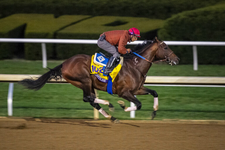 How upstart Flightline elbowed his way in among the true greats