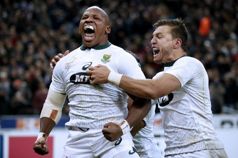 France v Springboks: Stats, facts and figures