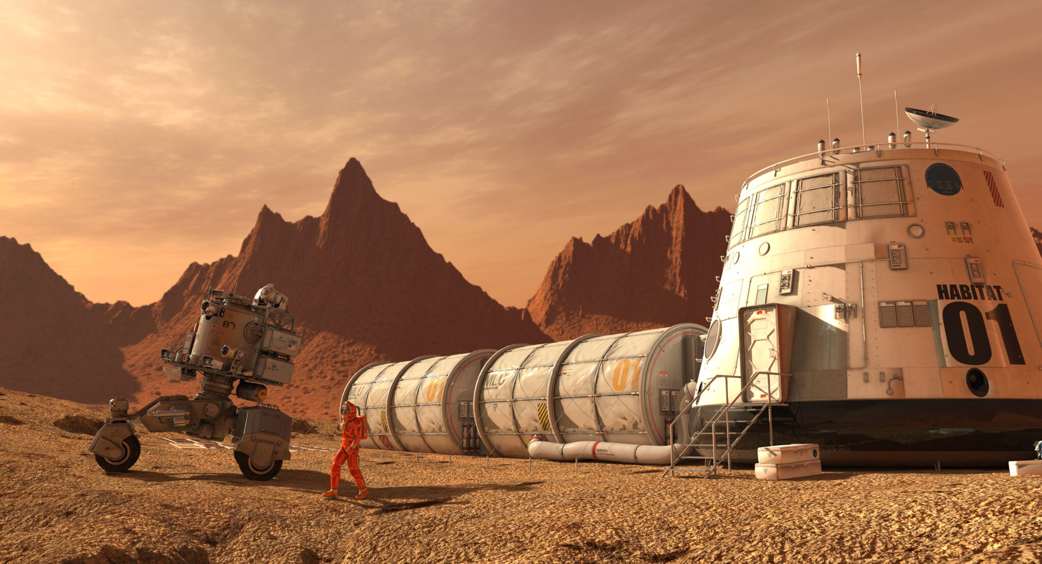 To Mars, I’m flying business class | The Citizen