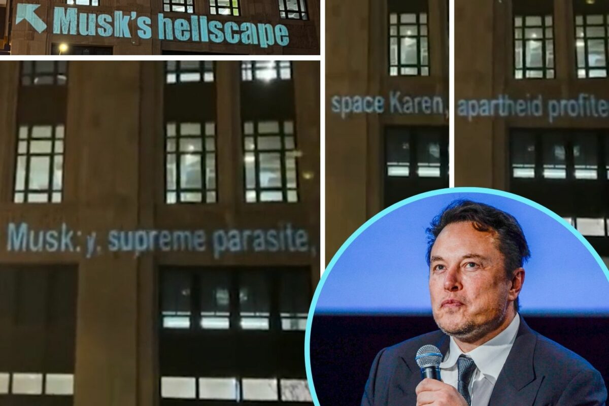 WATCH Twitter protest: Musk an 'apartheid profiteer, space Karen'