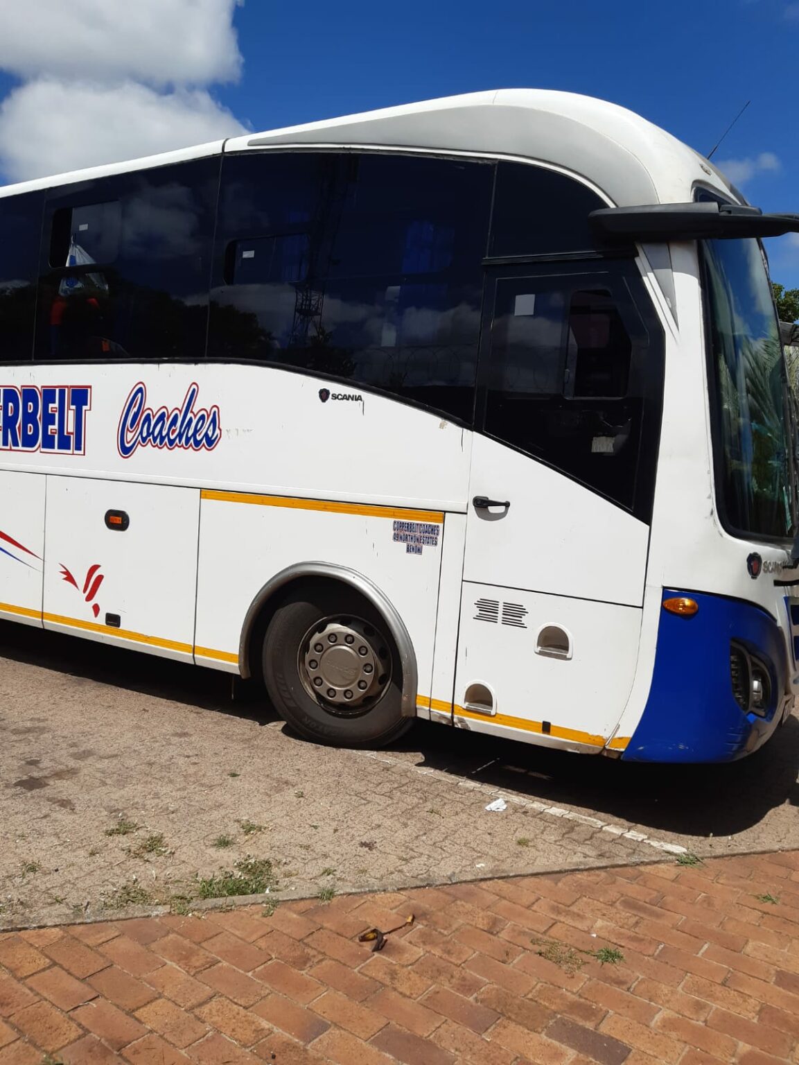 Police launch manhunt after women shot dead in Zimbabwe bus